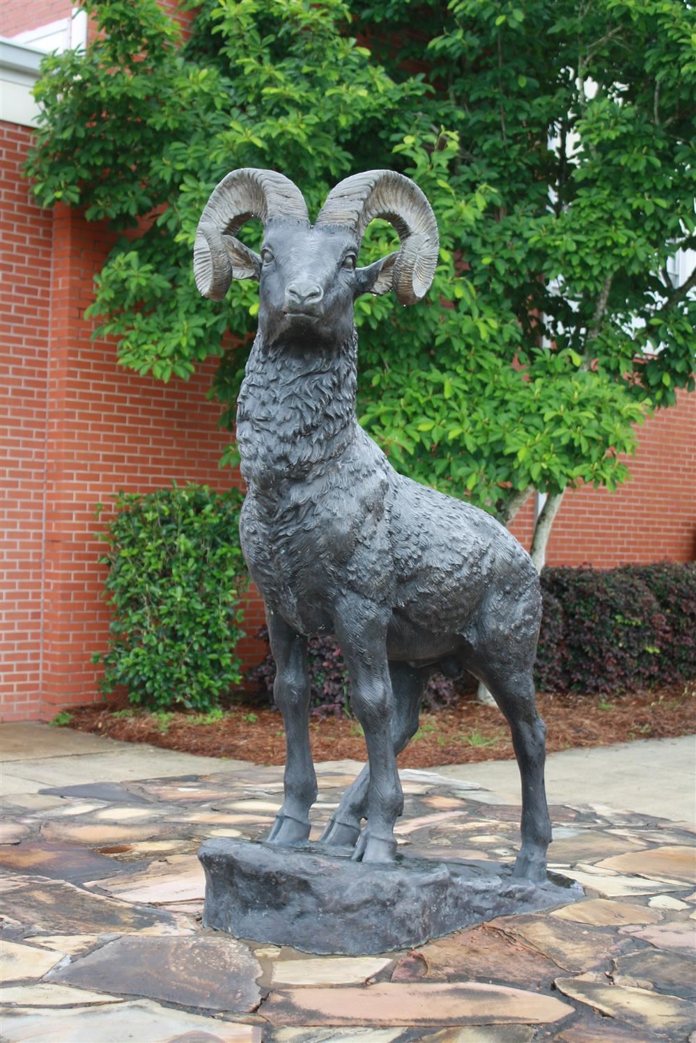 Headland High School / Principal's Corner